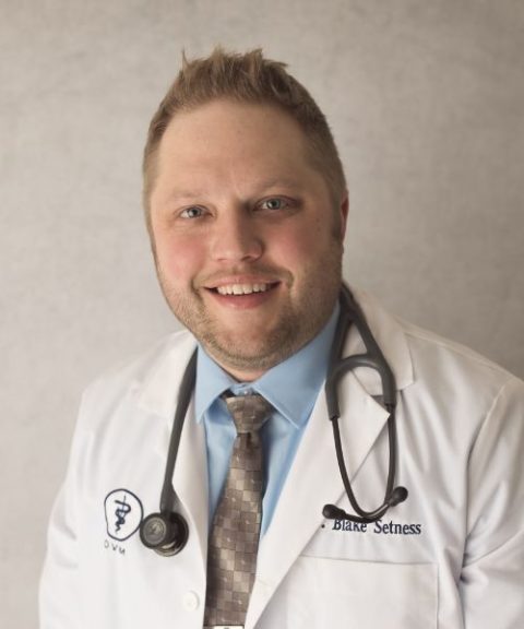 Meet Our Veterinary Team - Dr. Deb Brown - Pequot Lakes Animal Hospital